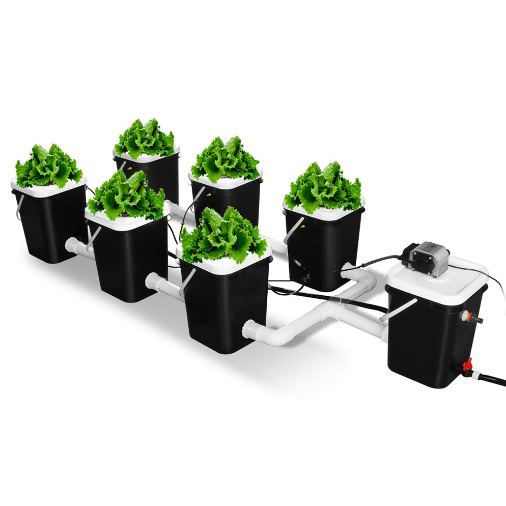 New Deep Water Culture 5 Gallon 6 Site Bubble Flow Buckets DWC RDWC Hy ...